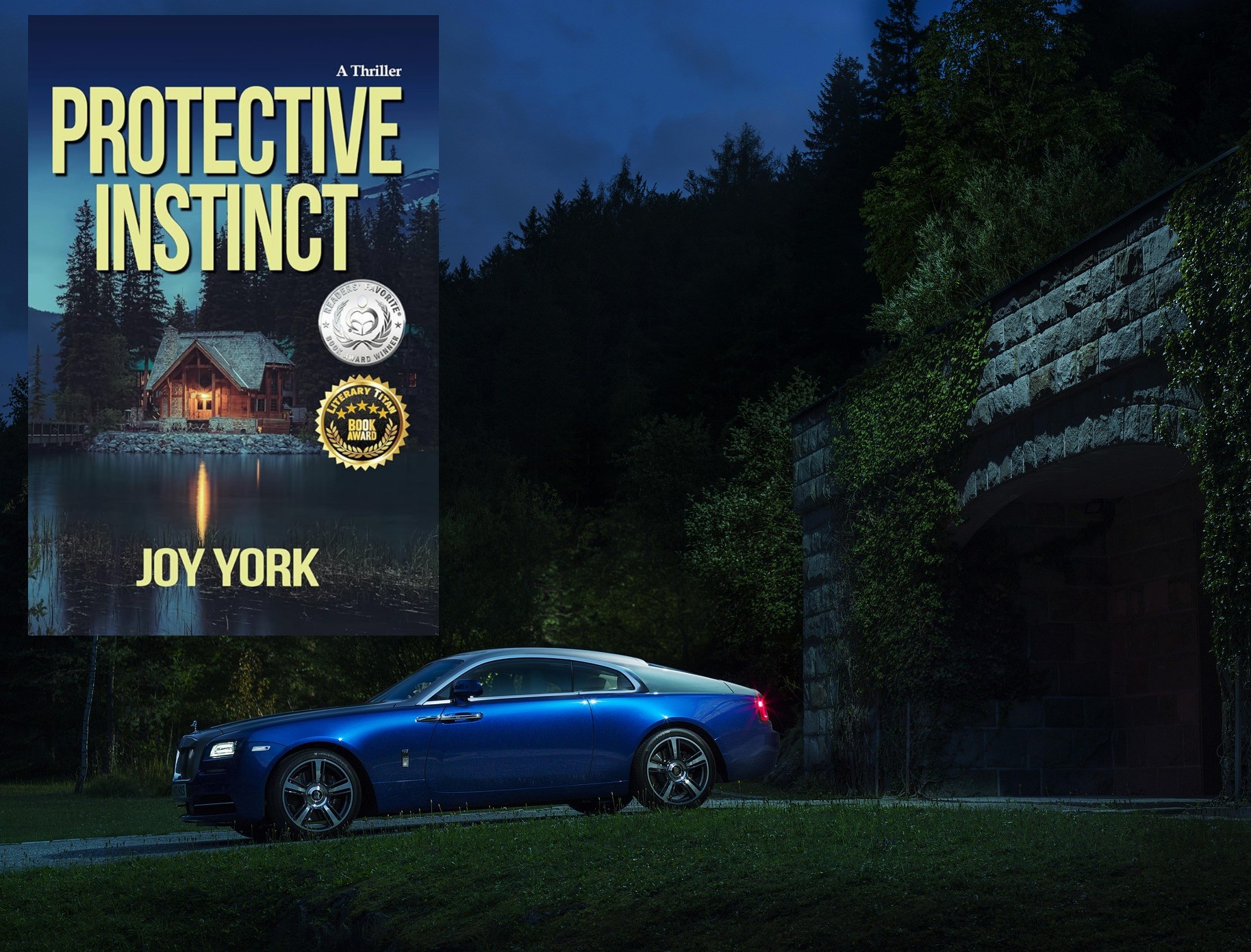 “Protective Instinct” by Joy York – Eve's Book Diary